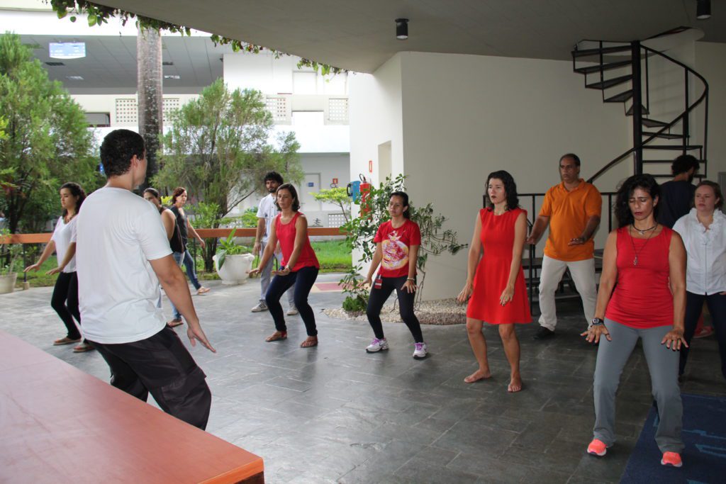 dinamica pics | ObservaPICS