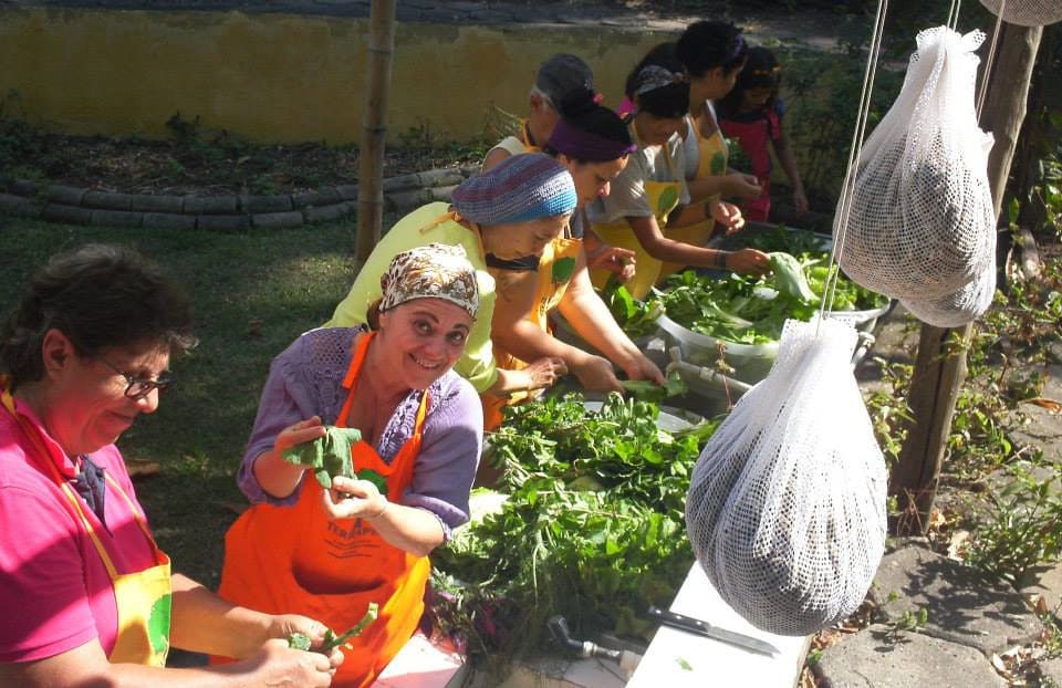 TERRAPIA Facebook pagina 6 | ObservaPICS